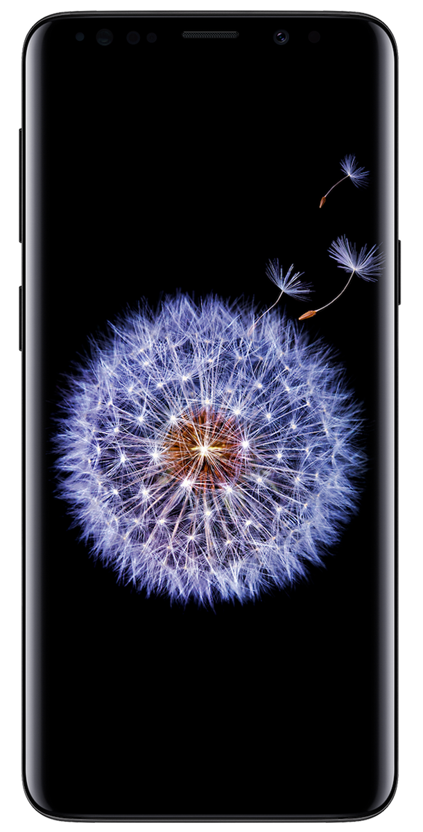 Samung Galaxy S9 and S9+